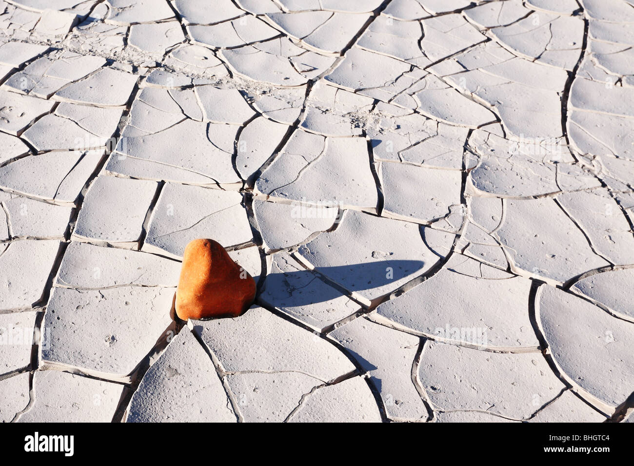 Small stone of sandstone on the cracked ground of desert in Death ...