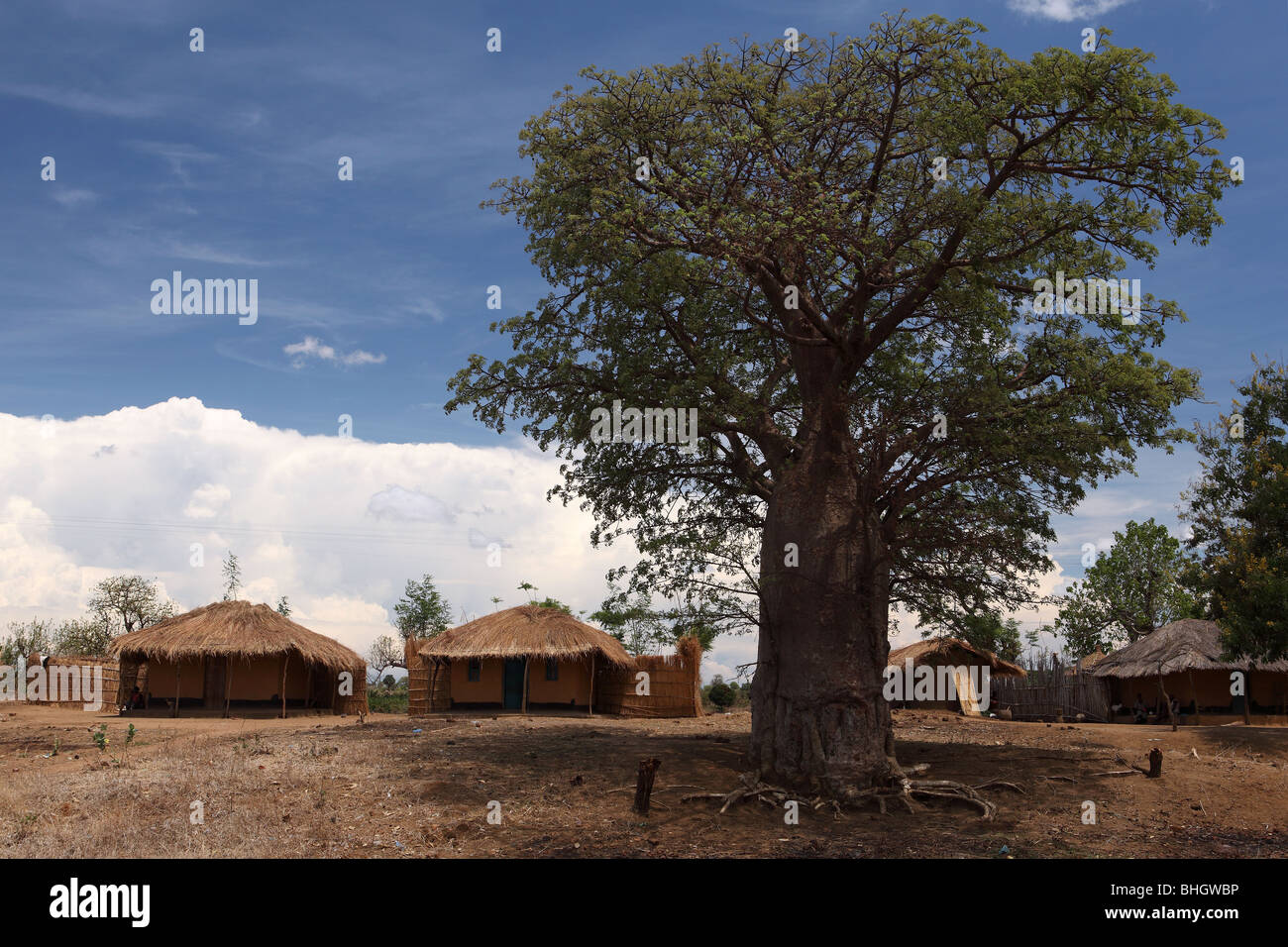 Boabab and road hi-res stock photography and images - Alamy