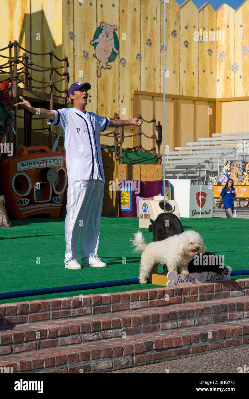 The "Pets Rule!" show at Sea World in San Diego, California, USA Stock ...