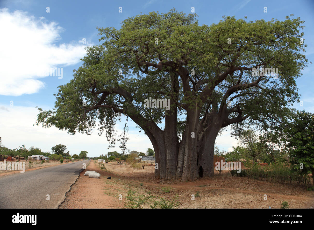 Stand houses hi-res stock photography and images - Alamy