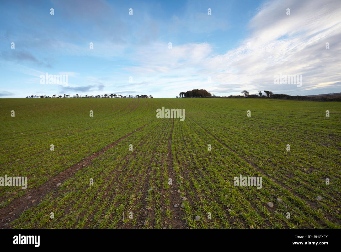 East cork ireland hi-res stock photography and images - Alamy