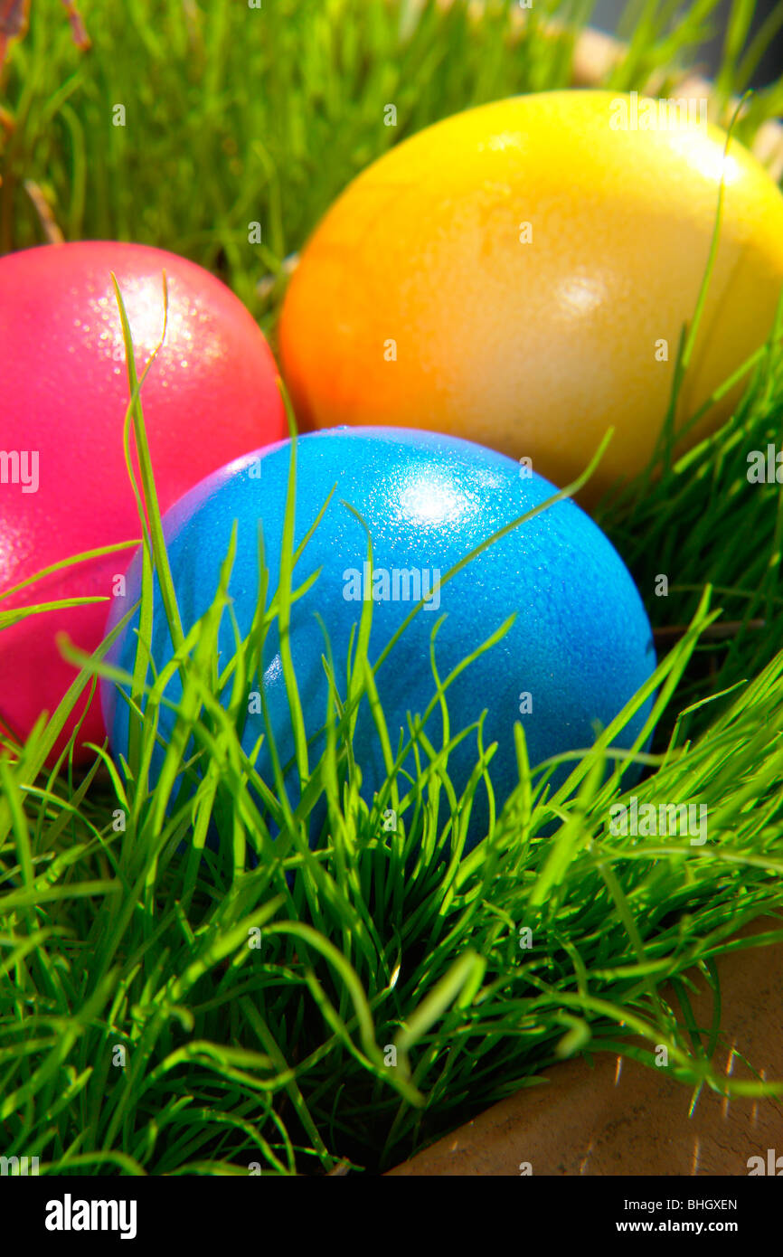 Three easter eggs lying in grass Stock Photo - Alamy