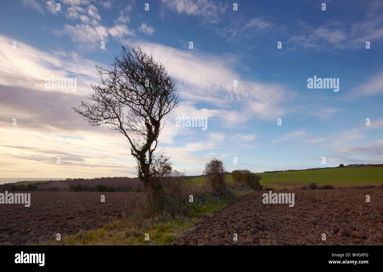 Ploughed farmland hi-res stock photography and images - Alamy