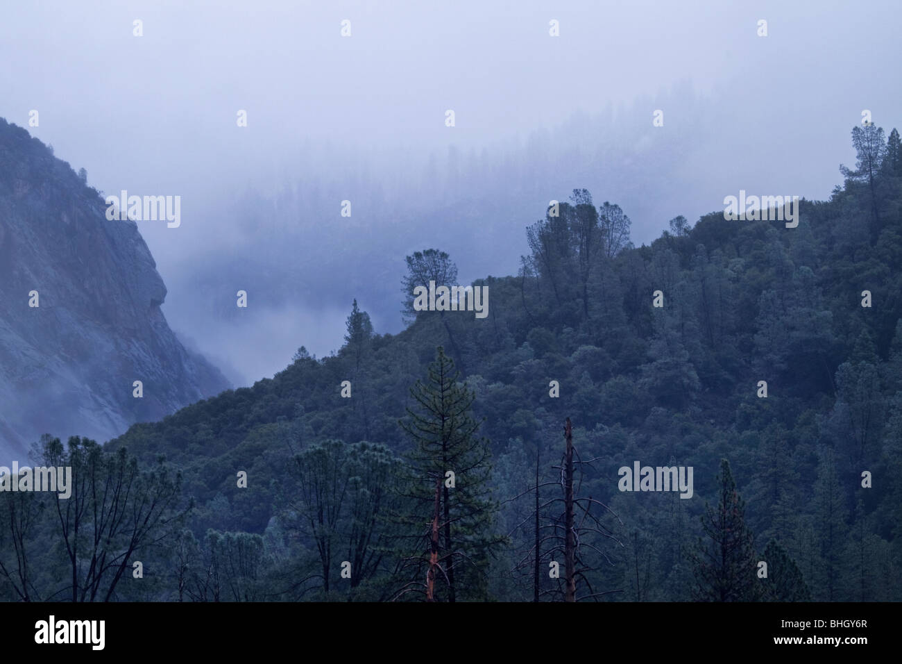 Clinging mist hi-res stock photography and images - Alamy