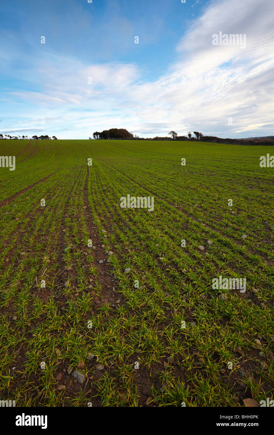 East cork ireland hi-res stock photography and images - Alamy