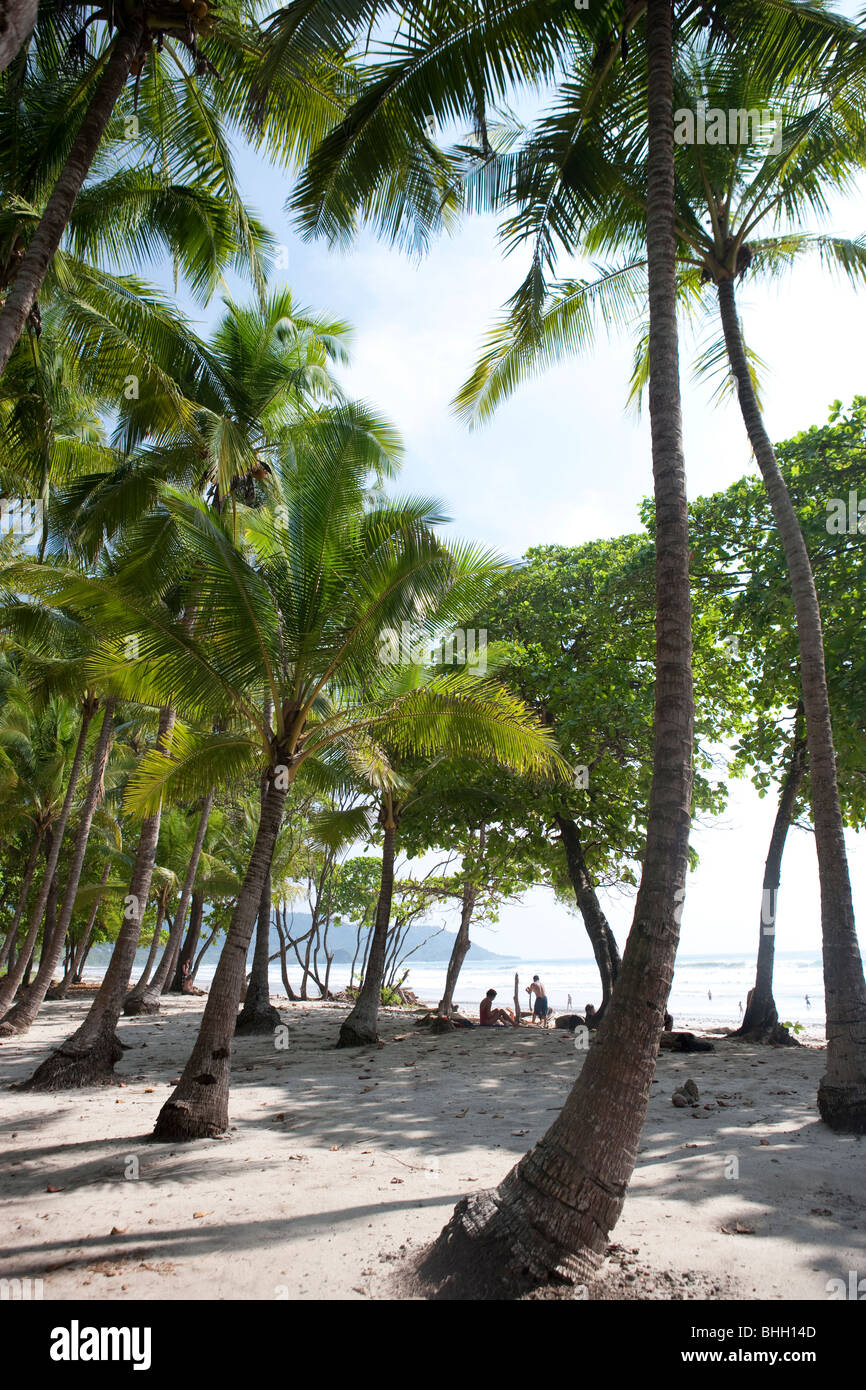 Playa teresa hi-res stock photography and images - Alamy