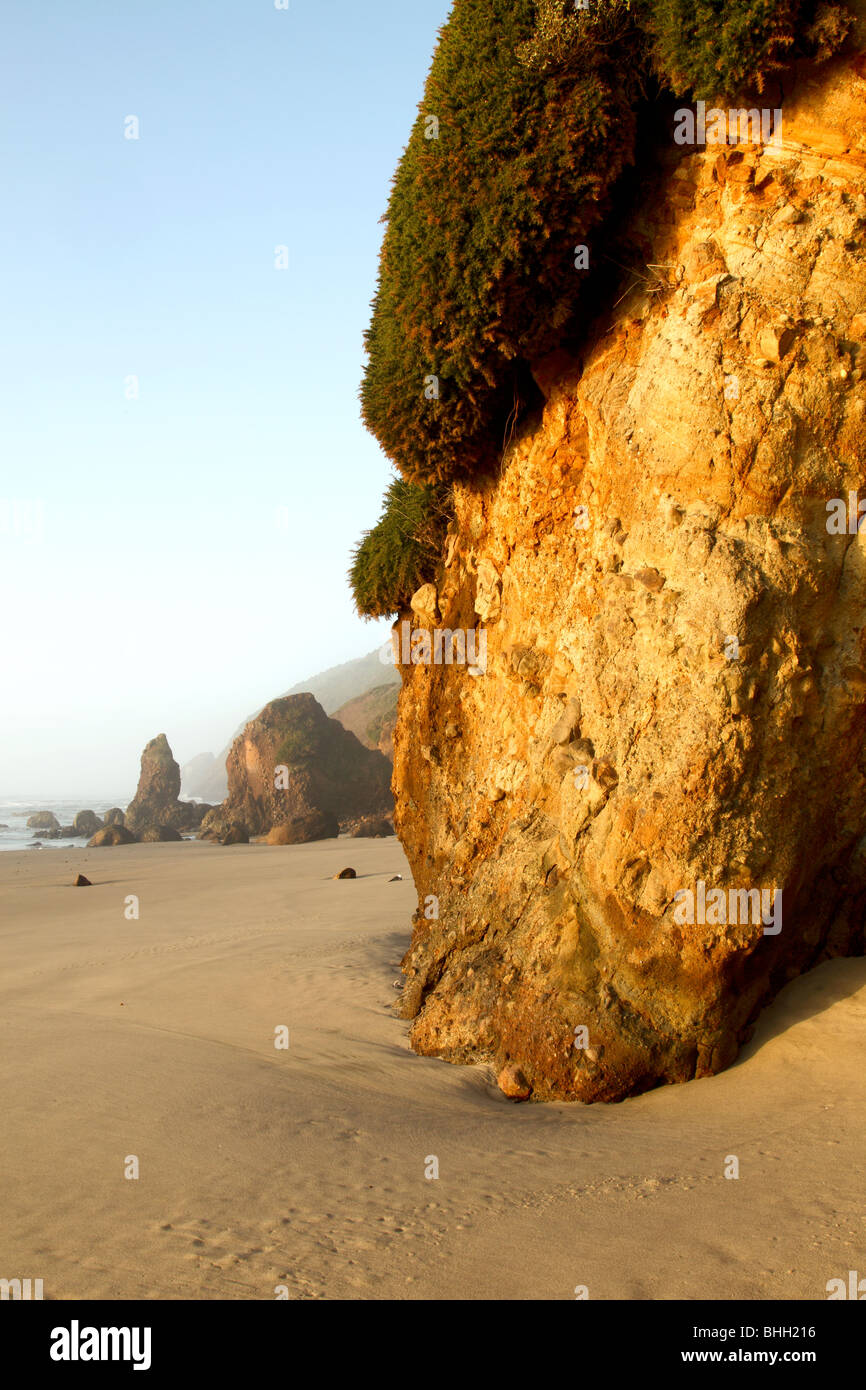 Sandstone cliffs along the Oregon coast at sunset Stock Photo - Alamy