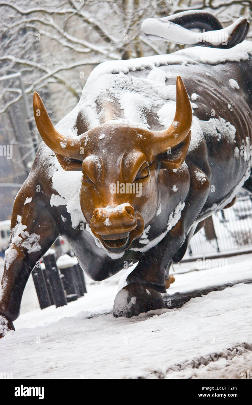 Wall street bull in snow hi-res stock photography and images - Alamy