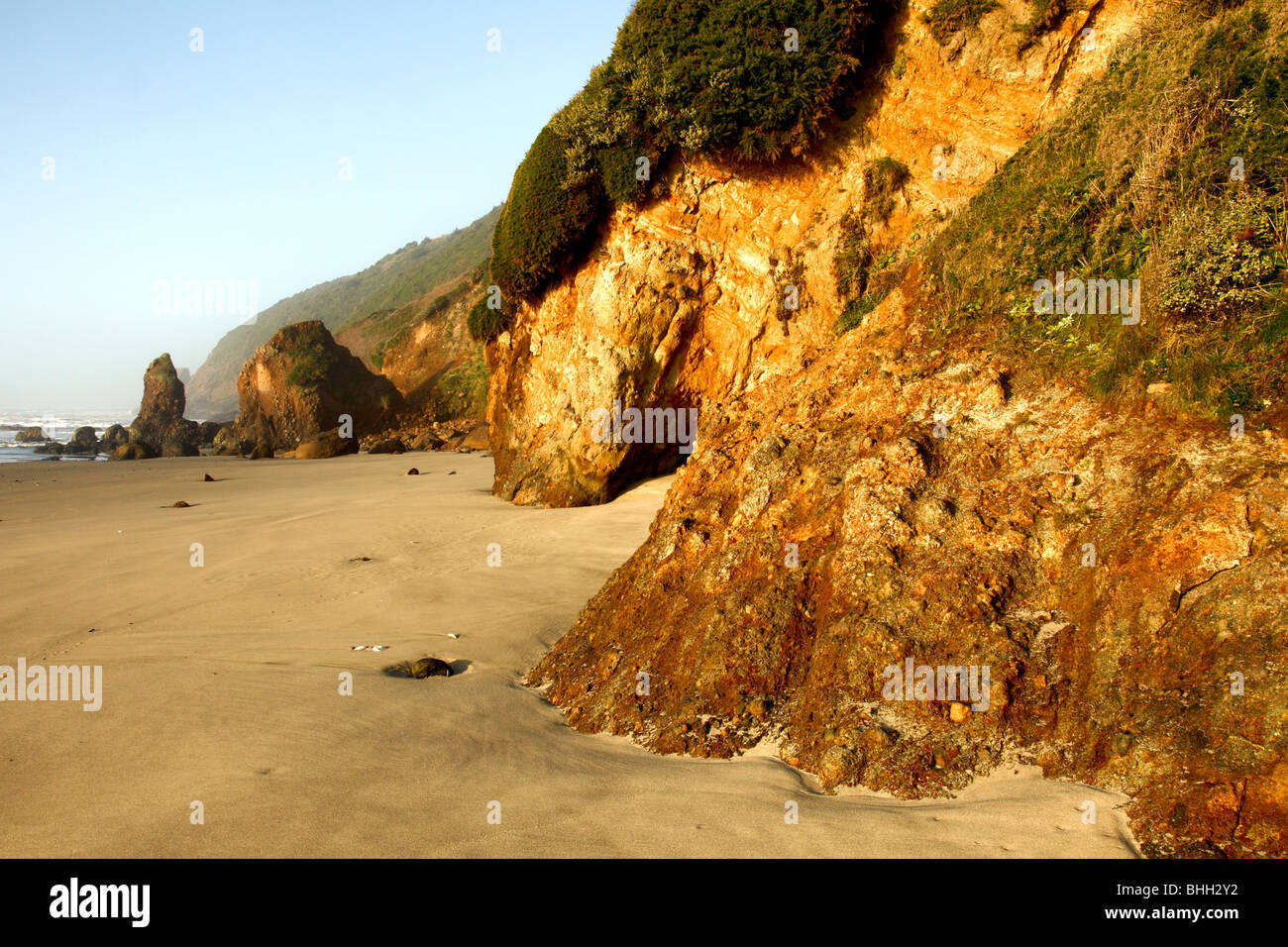 Sandstone cliffs along the Oregon coast at sunset Stock Photo - Alamy
