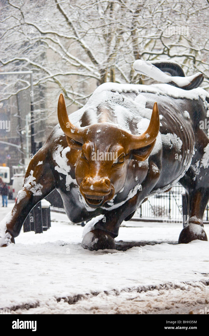 Wall Street Bull in a snow storm in New York City Stock Photo - Alamy