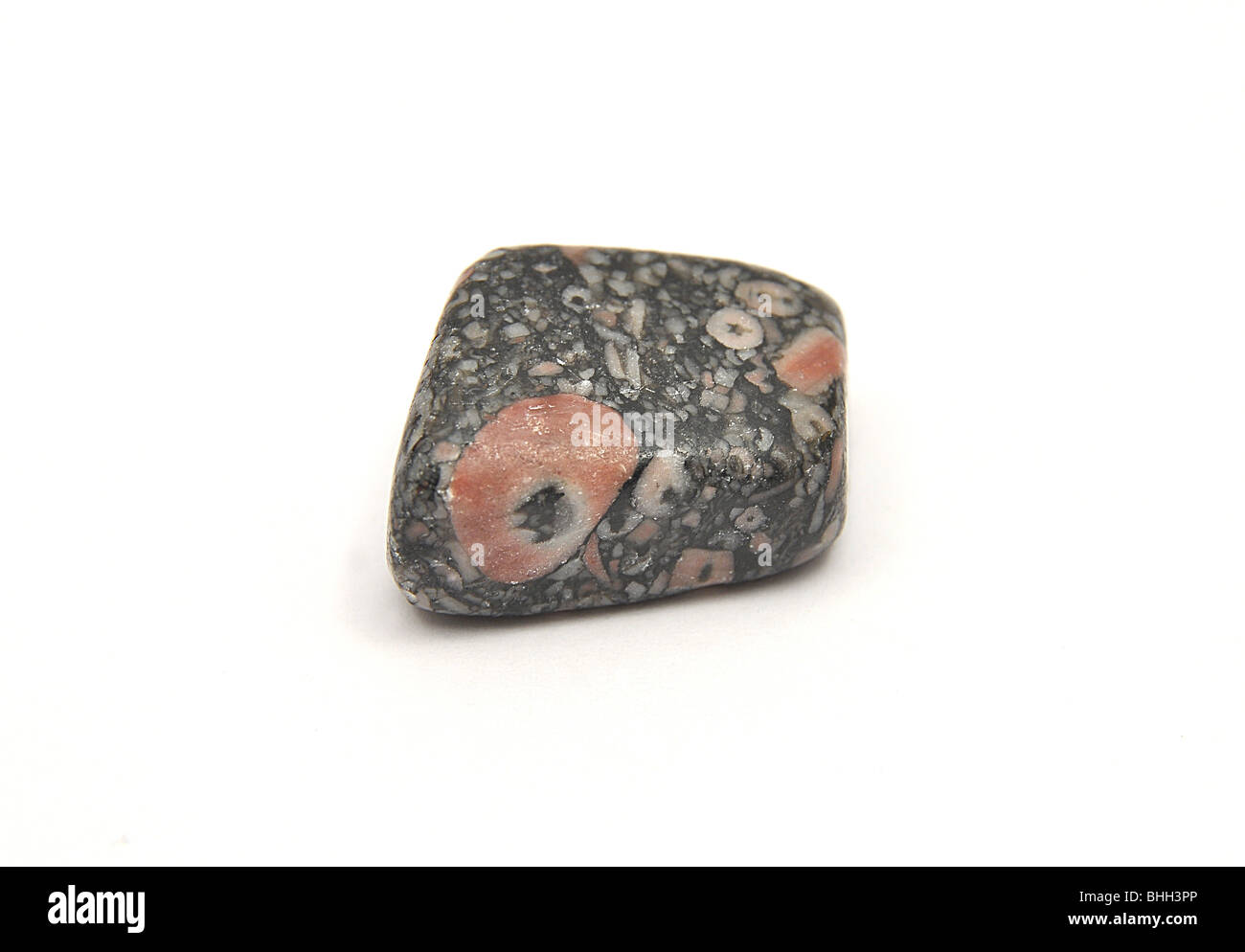 Leopard jasper hi-res stock photography and images - Alamy