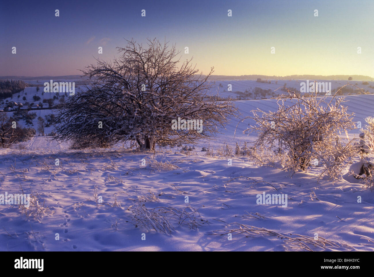 Very icy day hi-res stock photography and images - Alamy