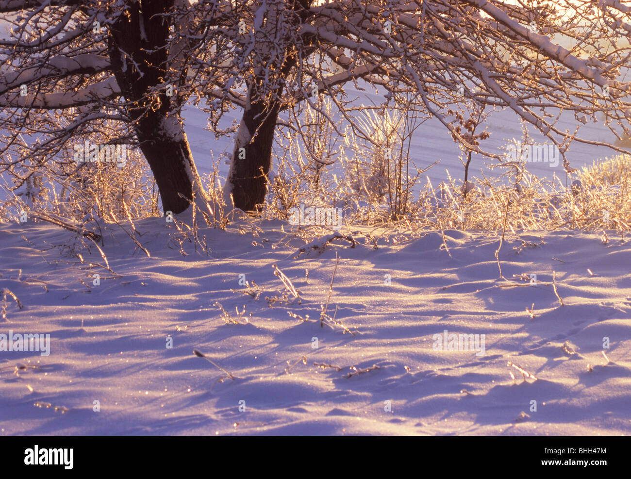 Icy hi-res stock photography and images - Alamy