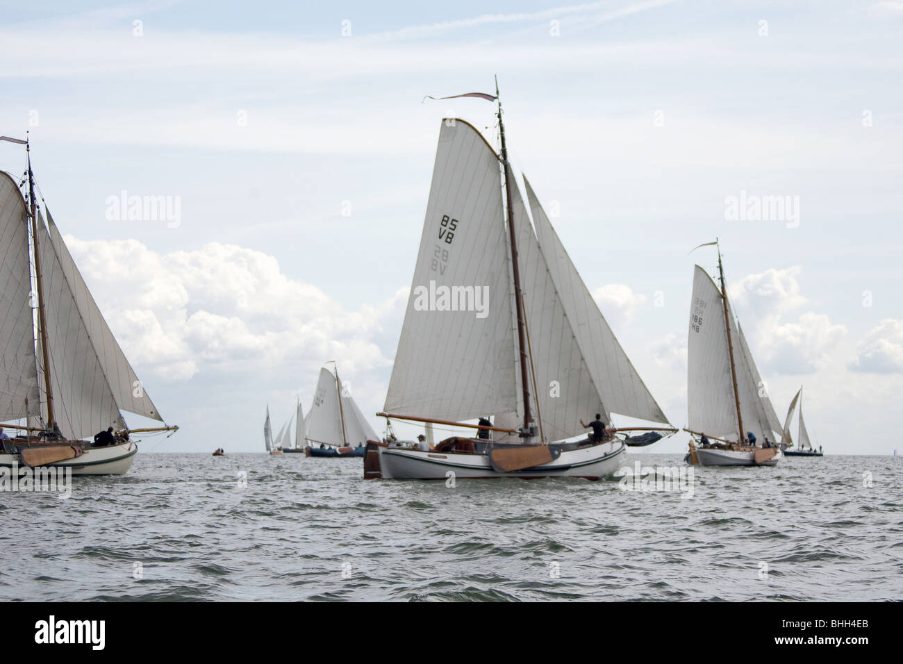 sailing race on IJsselmeer in the Netherlands Stock Photo - Alamy