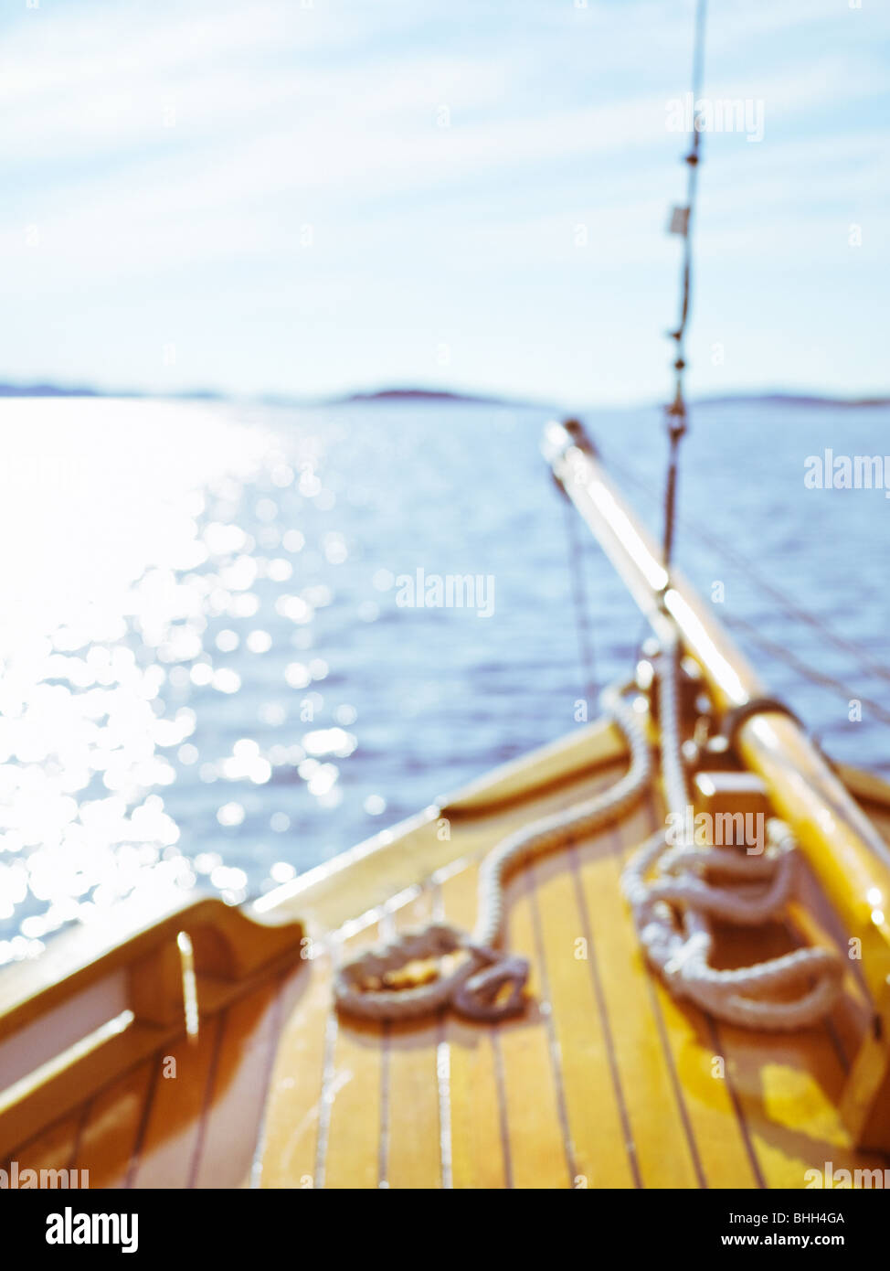 The stem of a tree boat out at sea, Sweden Stock Photo - Alamy