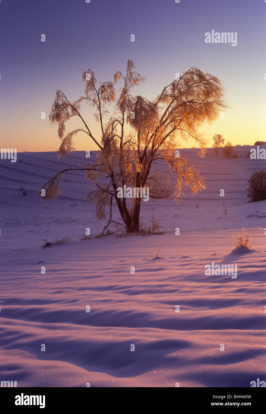 Icy hi-res stock photography and images - Alamy