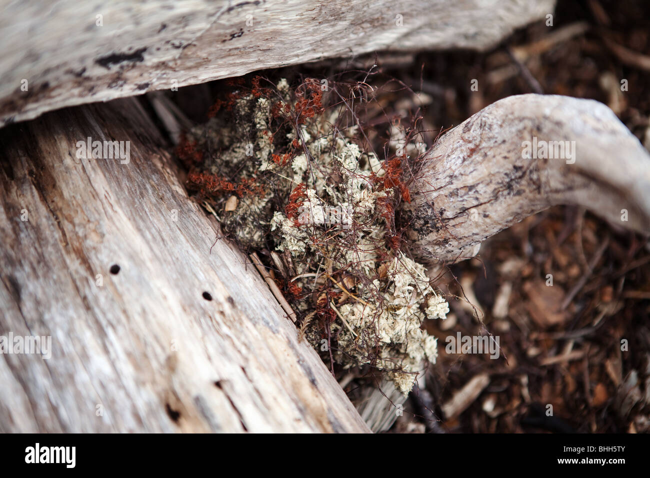 The Milford Sound, Fiordlands National Park, South Island New Zealand ...