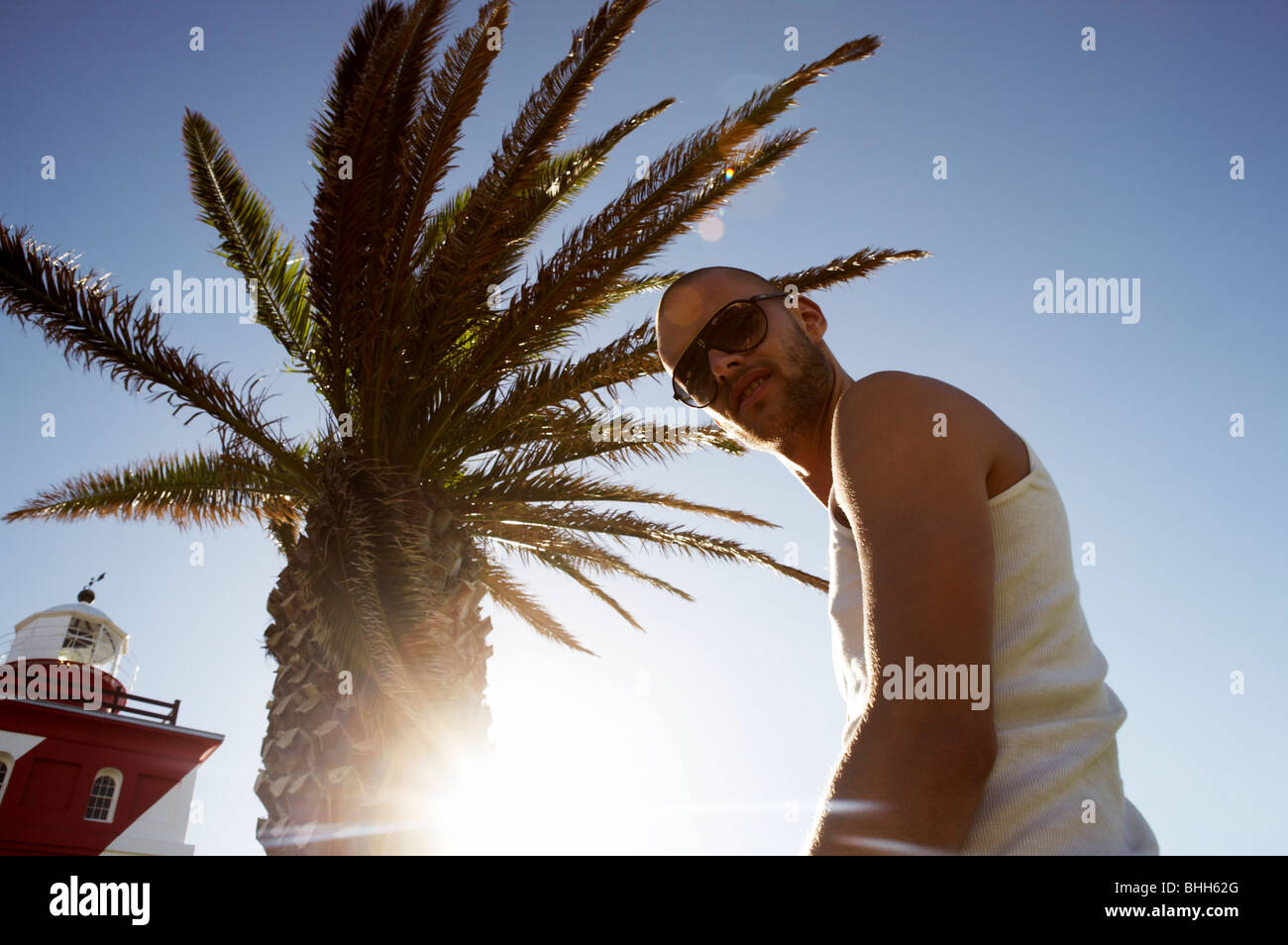 Palm south africa hi-res stock photography and images - Alamy