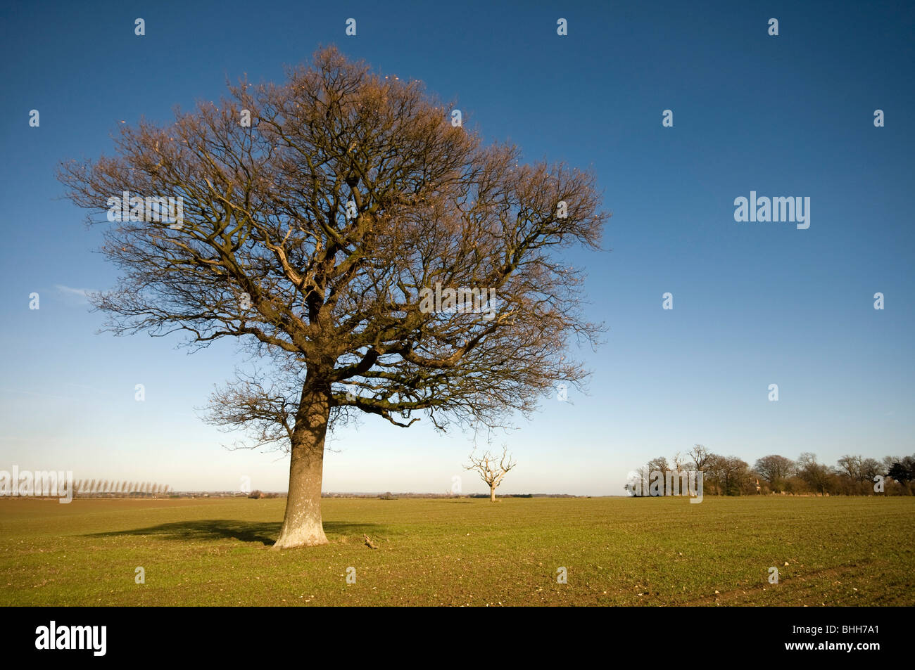 Kent Countryside Uk Winter High Resolution Stock Photography and Images ...