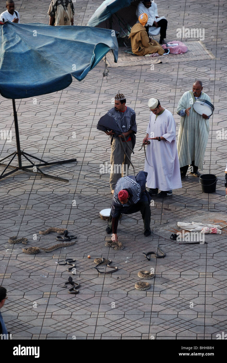 Snakes handling hi-res stock photography and images - Alamy