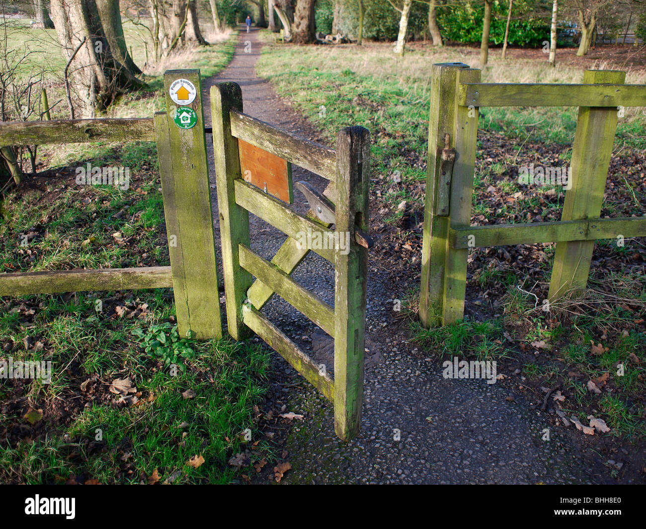 footpath through woodland between trees Stock Photo - Alamy