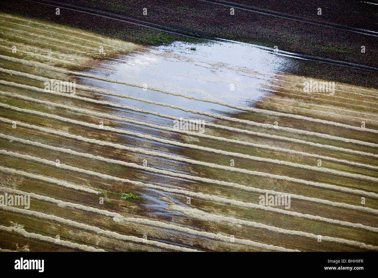 Watery environment hi-res stock photography and images - Alamy
