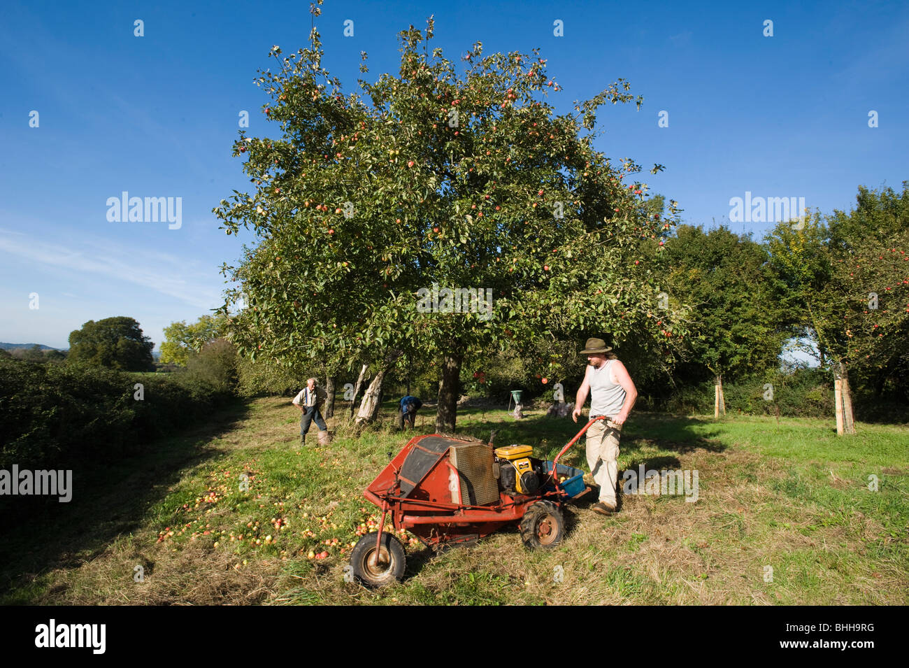 Frank orchard hi-res stock photography and images - Alamy