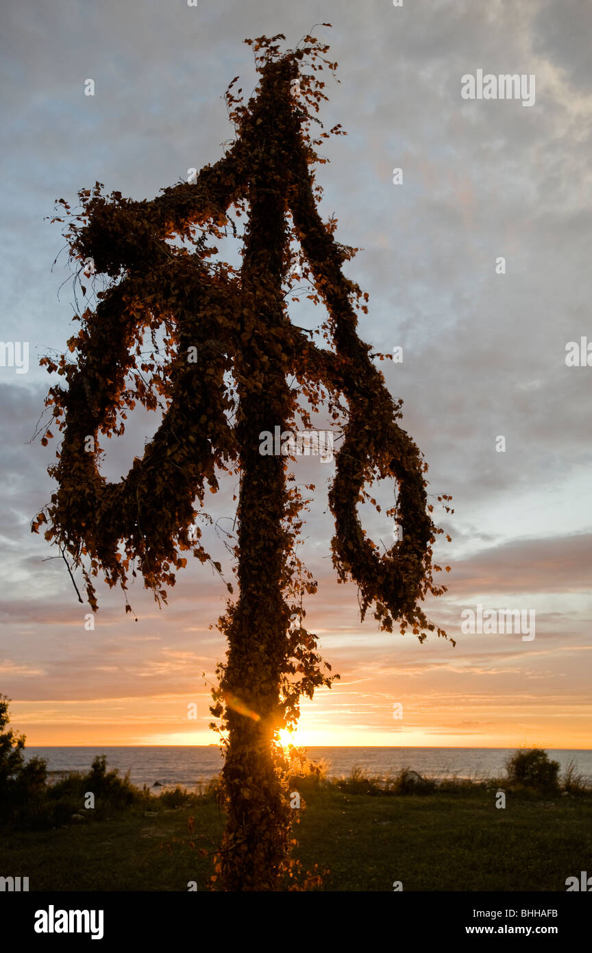 A maypole in evening sun, Sweden Stock Photo - Alamy