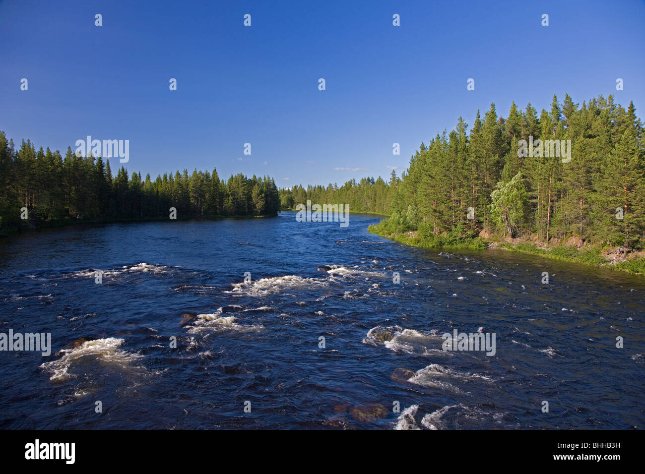 Ljungan High Resolution Stock Photography and Images - Alamy