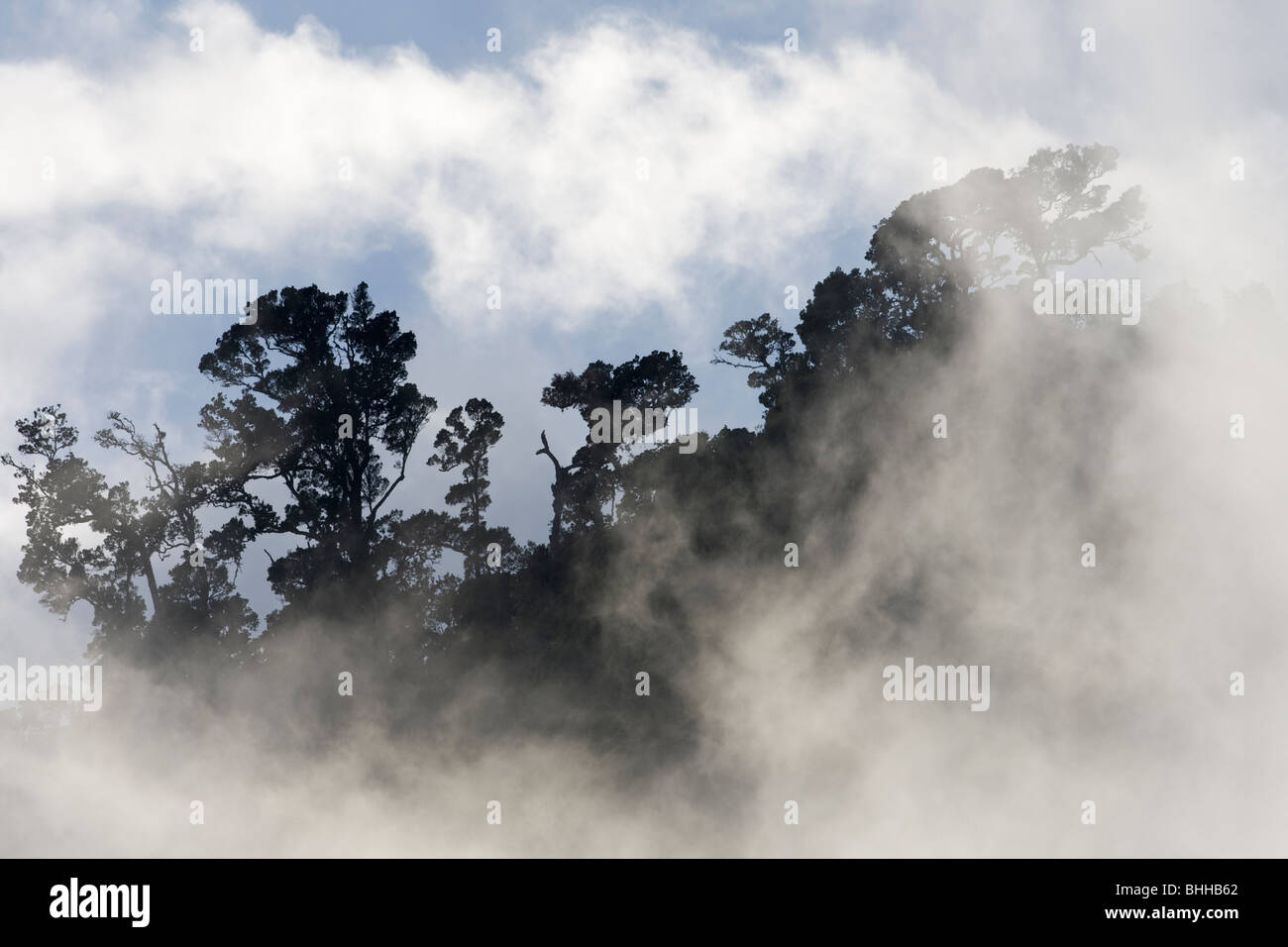 Clouds in the forest, Costa Rica Stock Photo - Alamy