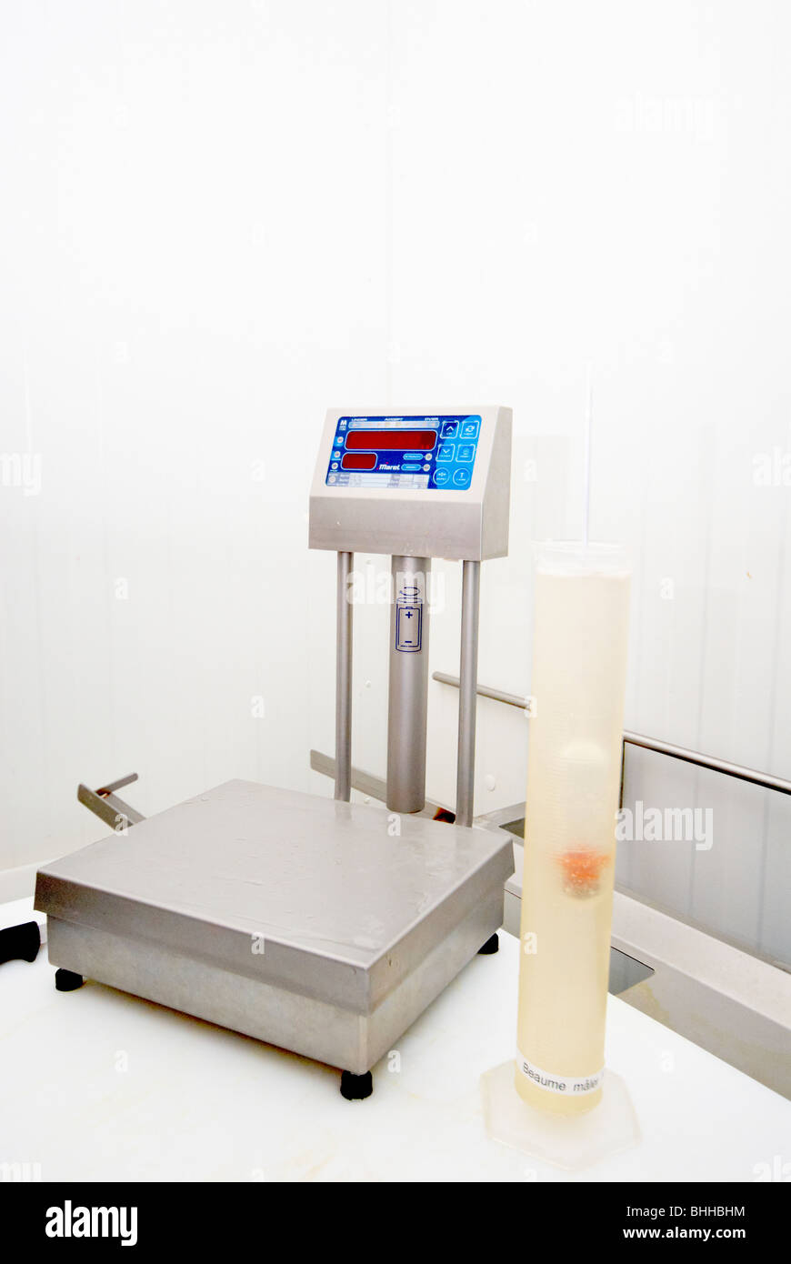 Testing salt water solution for salting bacon at meat processing plant ...