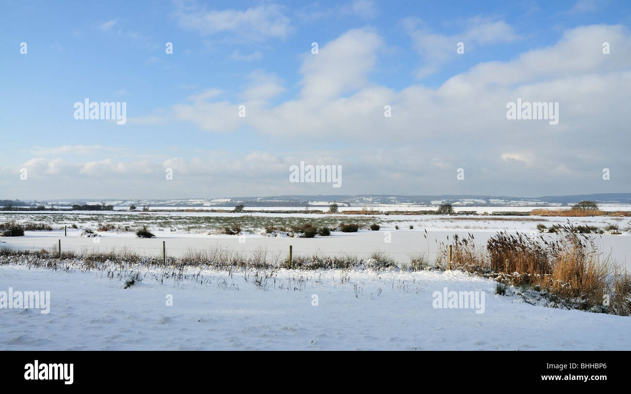 Dumbles hi-res stock photography and images - Alamy