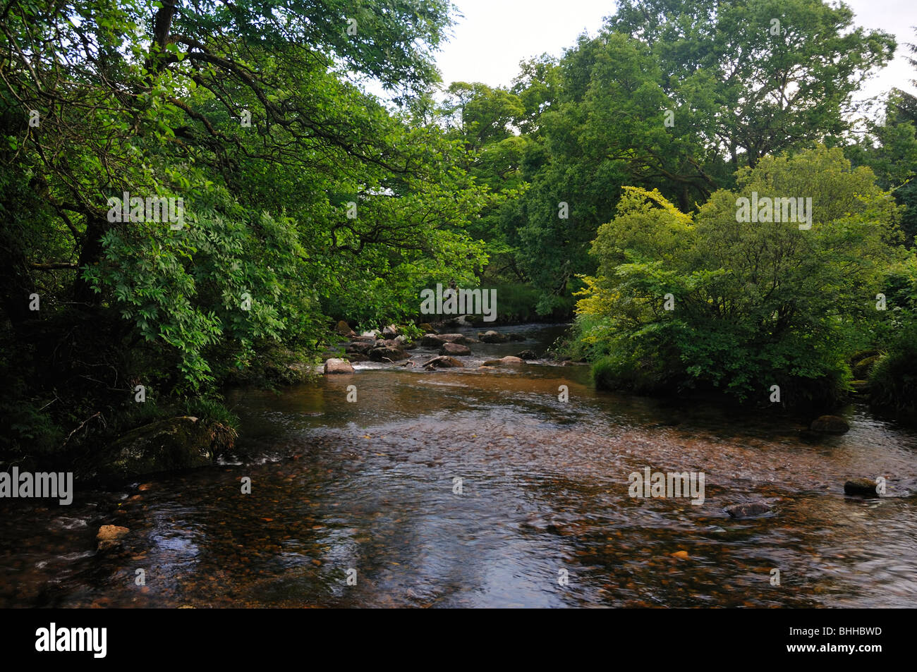 River Dart at Dartmeet, Dartmoor Stock Photo - Alamy