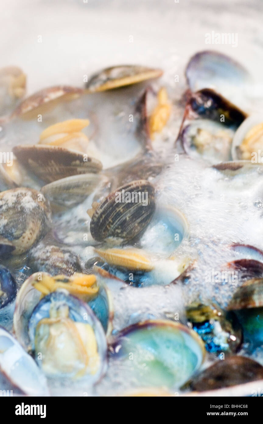 Mussels boiling, close-up Stock Photo - Alamy