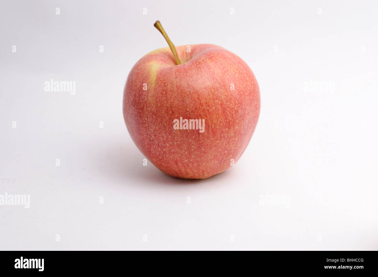 One "Royal Gala" red apple on a write background Stock Photo - Alamy