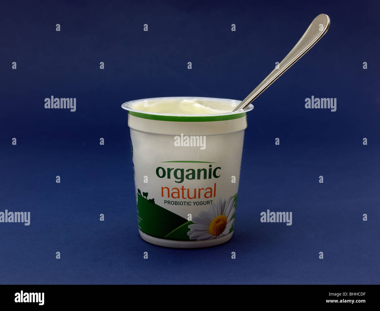 A Pot of Natural Probiotic Yogurt Stock Photo - Alamy