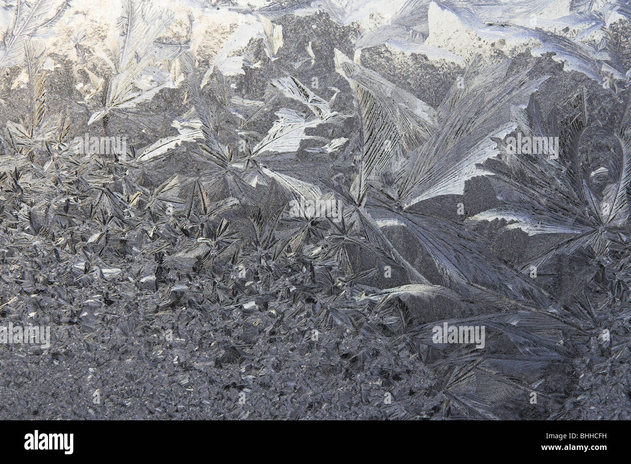 Frost formation crystals on window pane showing leaf and fern patterns ...