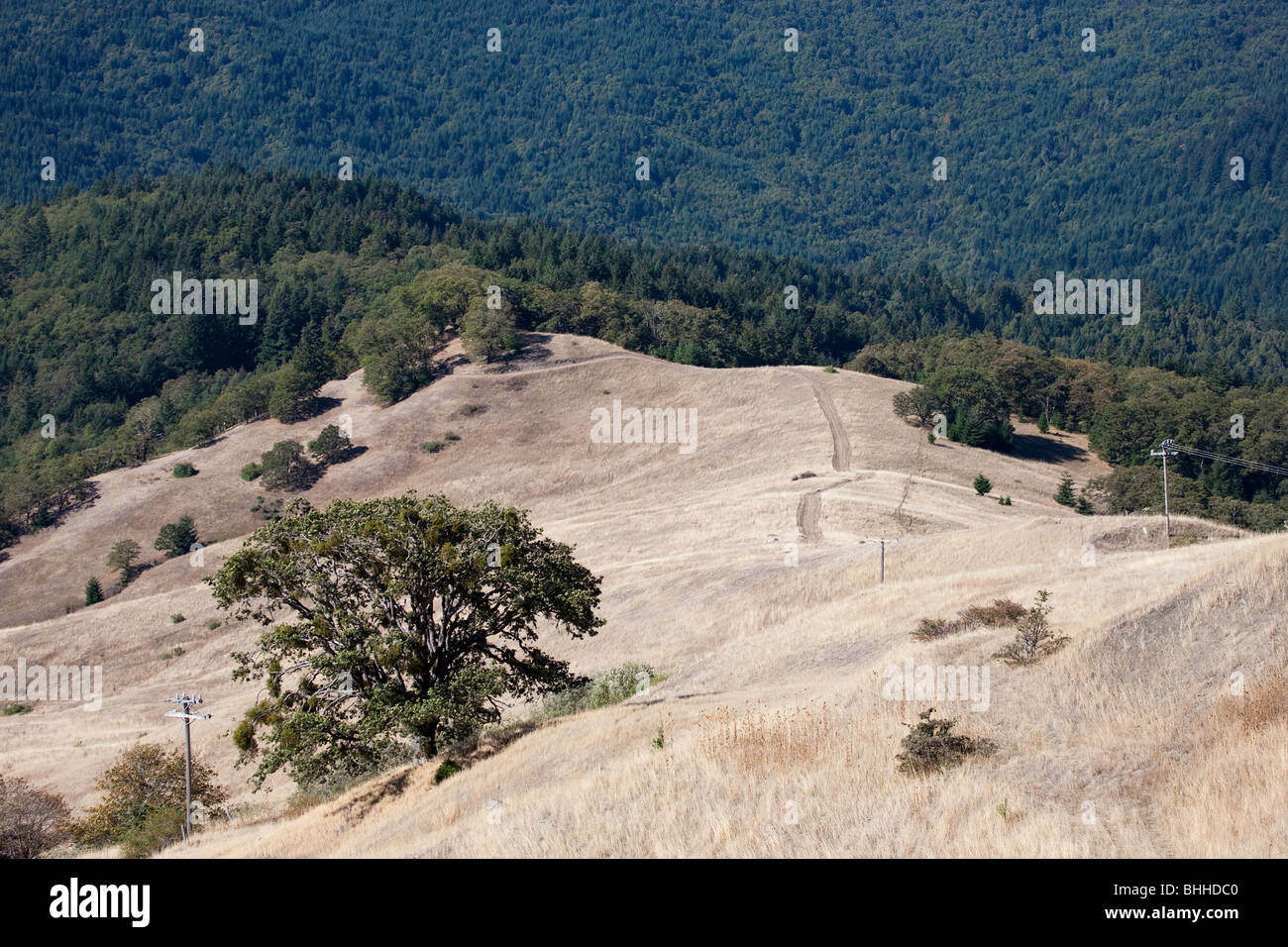 Trinity National Forest (along Hwy 299) in California, USA Stock Photo ...