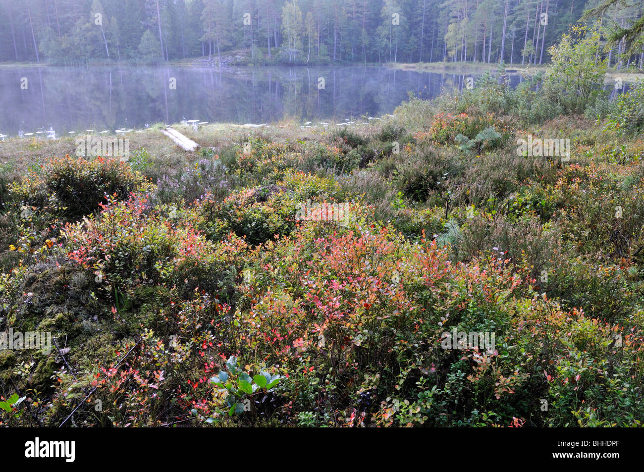 Mere smaland hi-res stock photography and images - Alamy