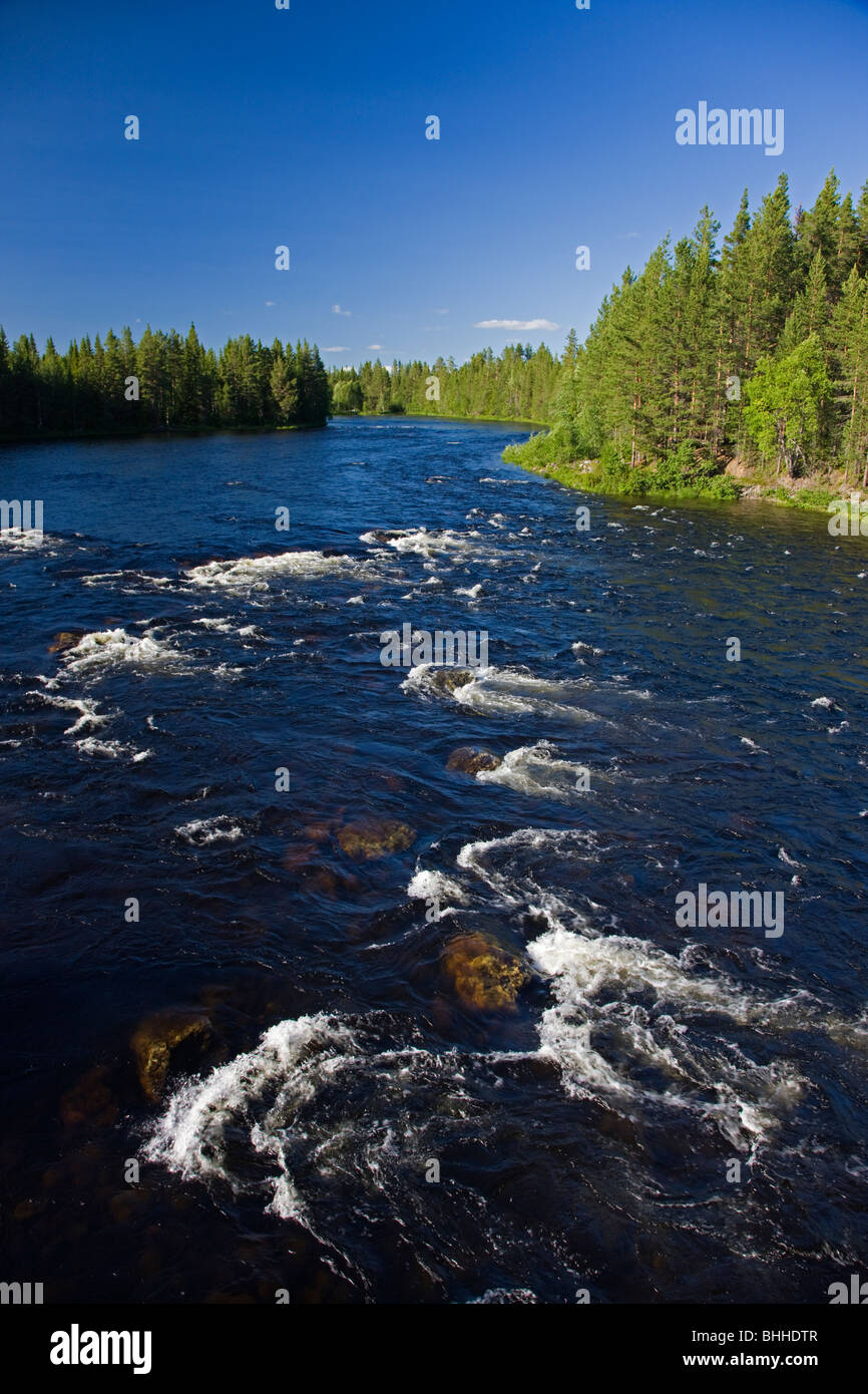 Pine-forest and Ljungan river, Jamtland, Sweden Stock Photo - Alamy
