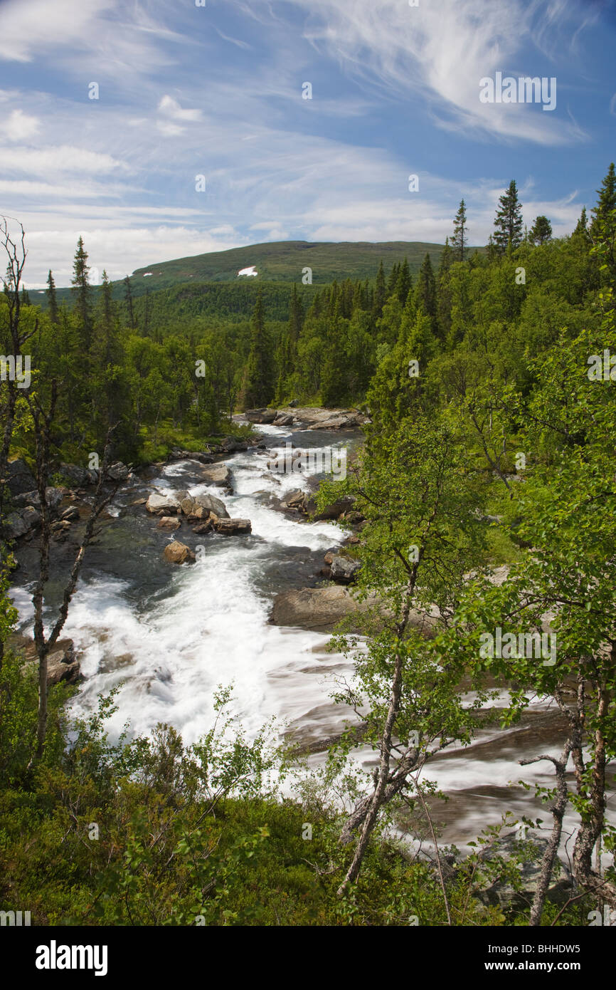 Ljungan river and mountain birch forest, Harjedalen, Sweden Stock Photo ...