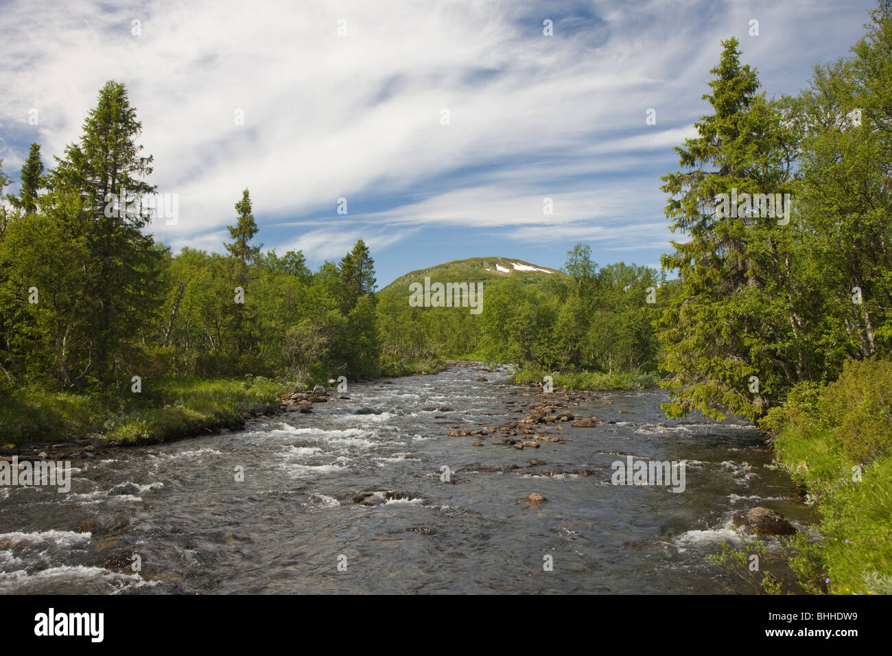 Ljungan river in the Swedish mountains, Harjedalen, Sweden Stock Photo ...
