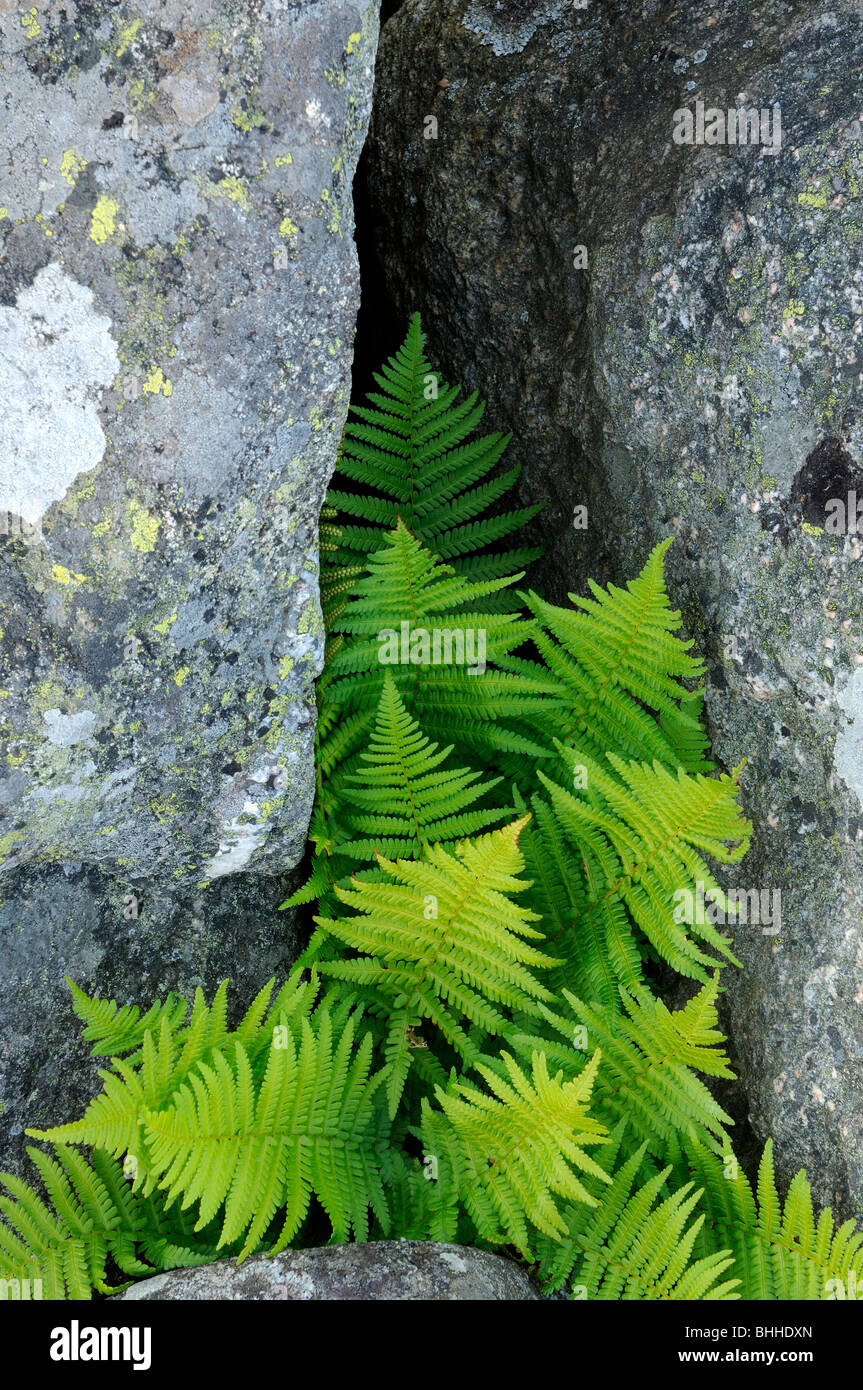 Cleft in rock hi-res stock photography and images - Alamy