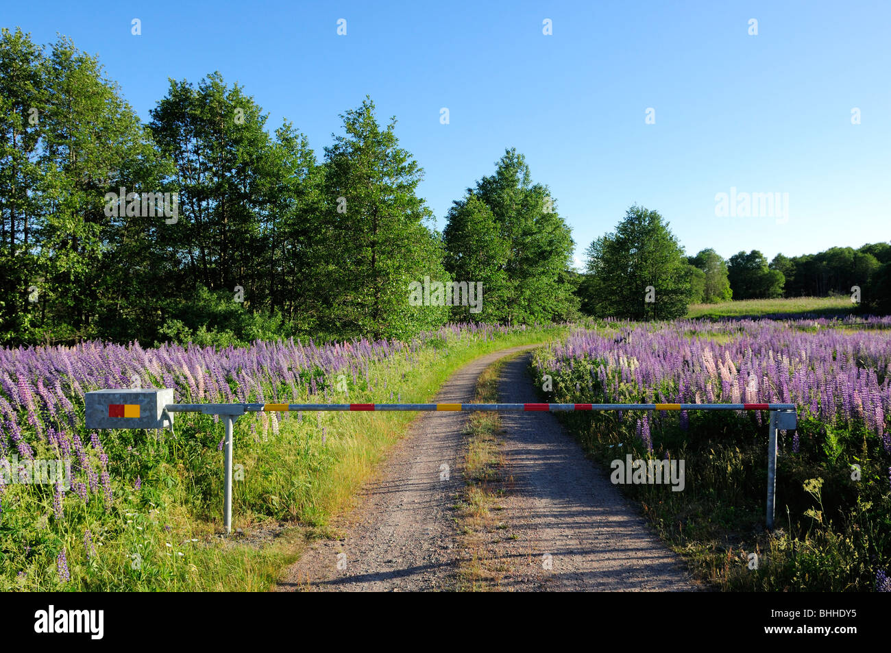 A bar across a road, Vastergotland, Sweden Stock Photo - Alamy