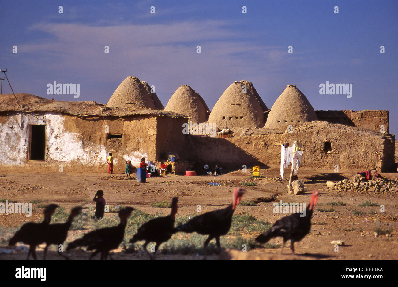 Typical bee hive shaped mud brick houses of Harran, Turkey Stock Photo ...