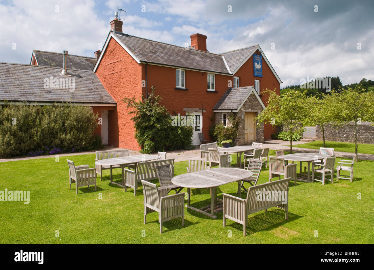 The felin fach griffin hi-res stock photography and images - Alamy