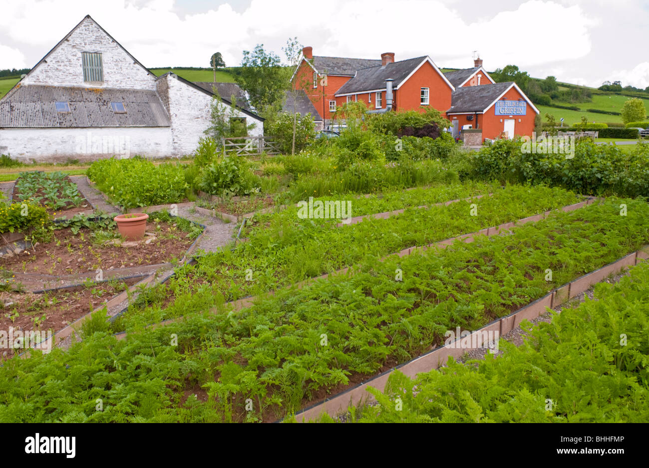 The felin fach griffin, powys hi-res stock photography and images - Alamy