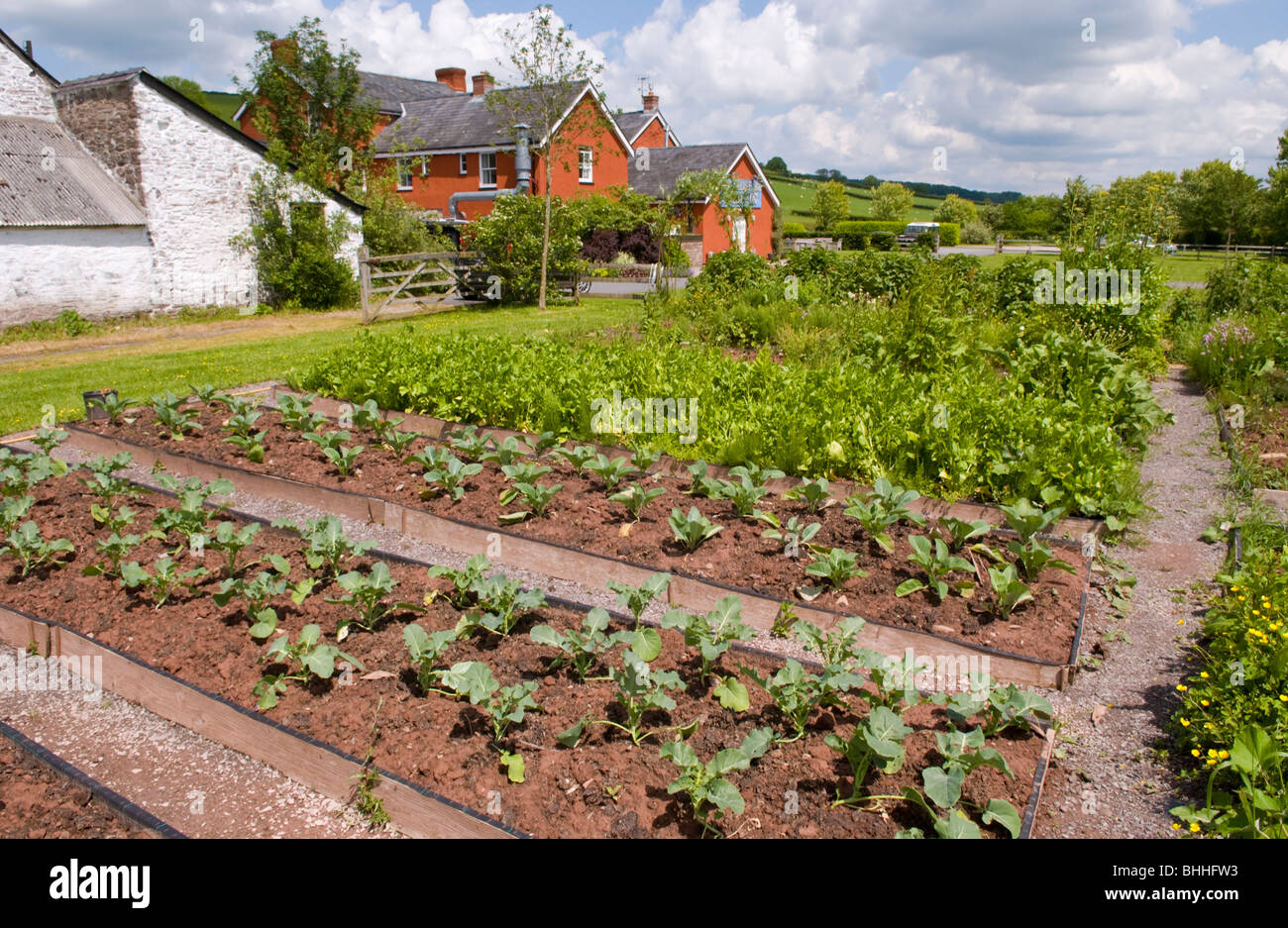 The felin fach griffin, powys hi-res stock photography and images - Alamy
