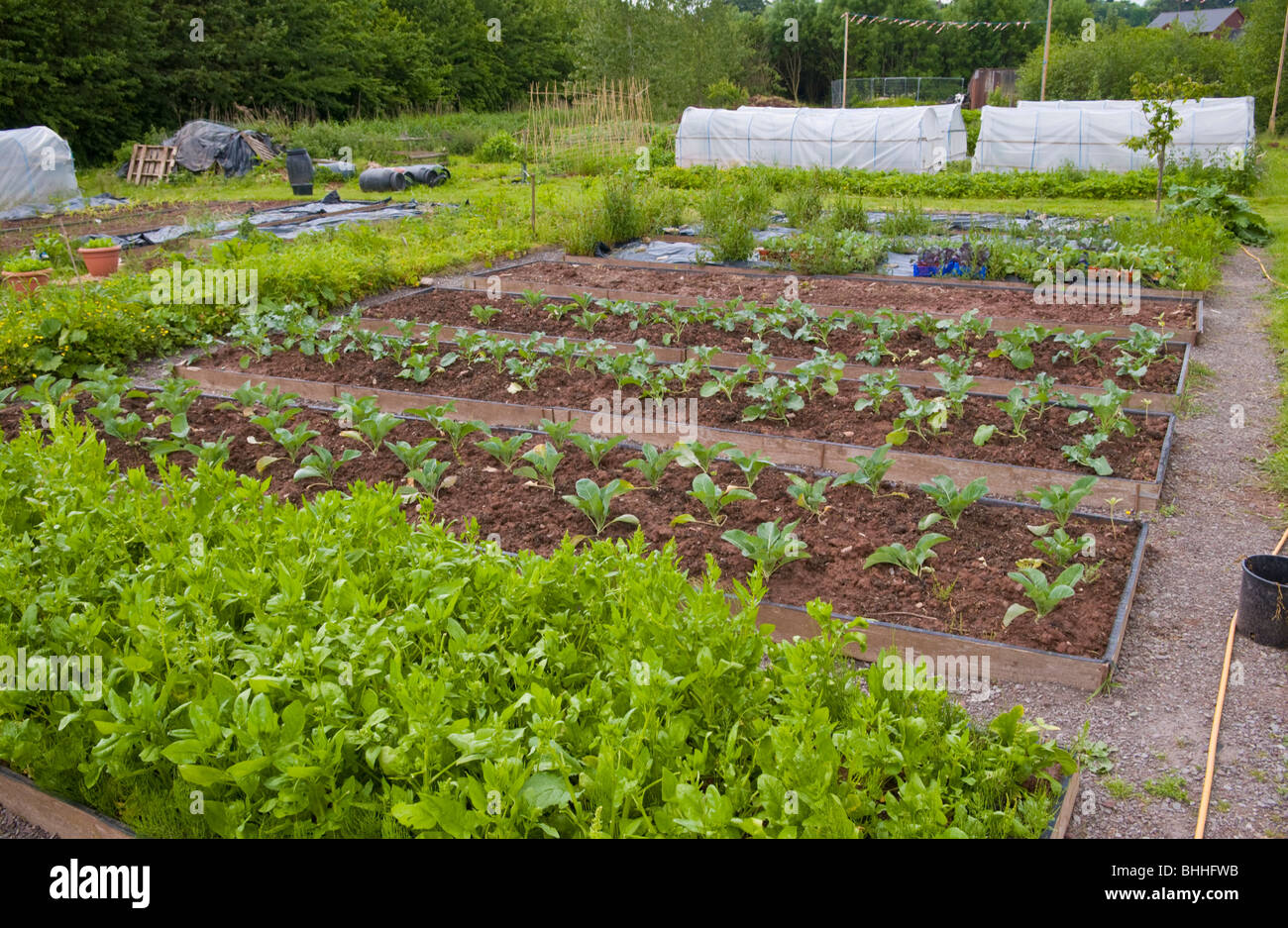 The felin fach griffin, powys hi-res stock photography and images - Alamy