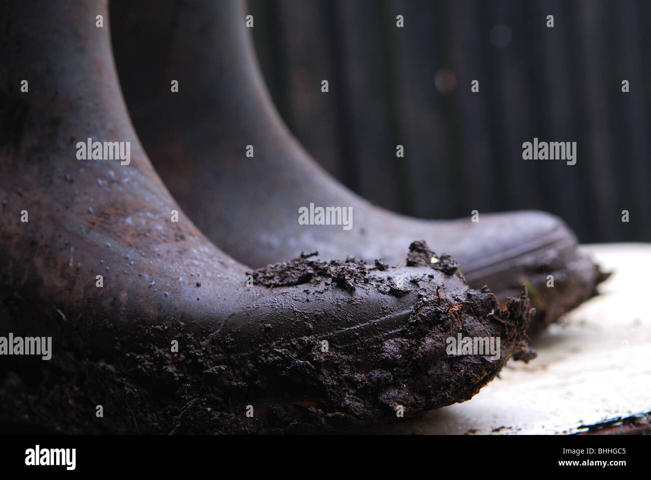 Wellington Boots Muddy Stock Photo - Alamy